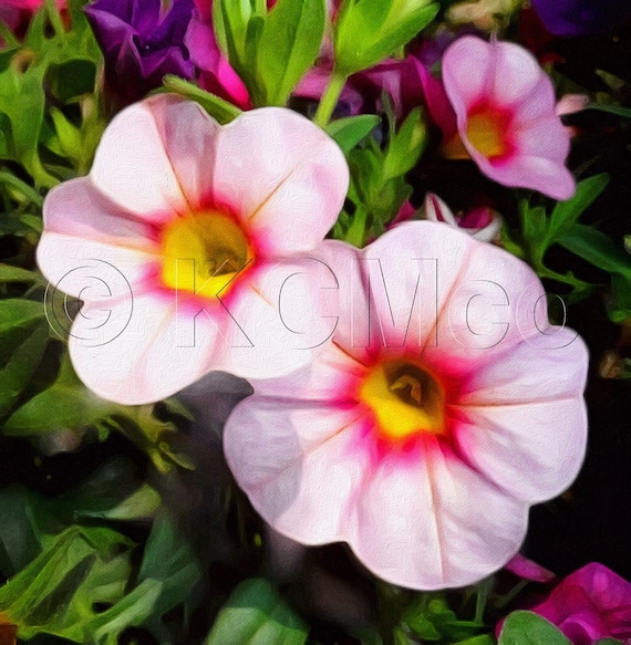 Botanical | Flowers curated by POE: Photographers of etsy on Etsy