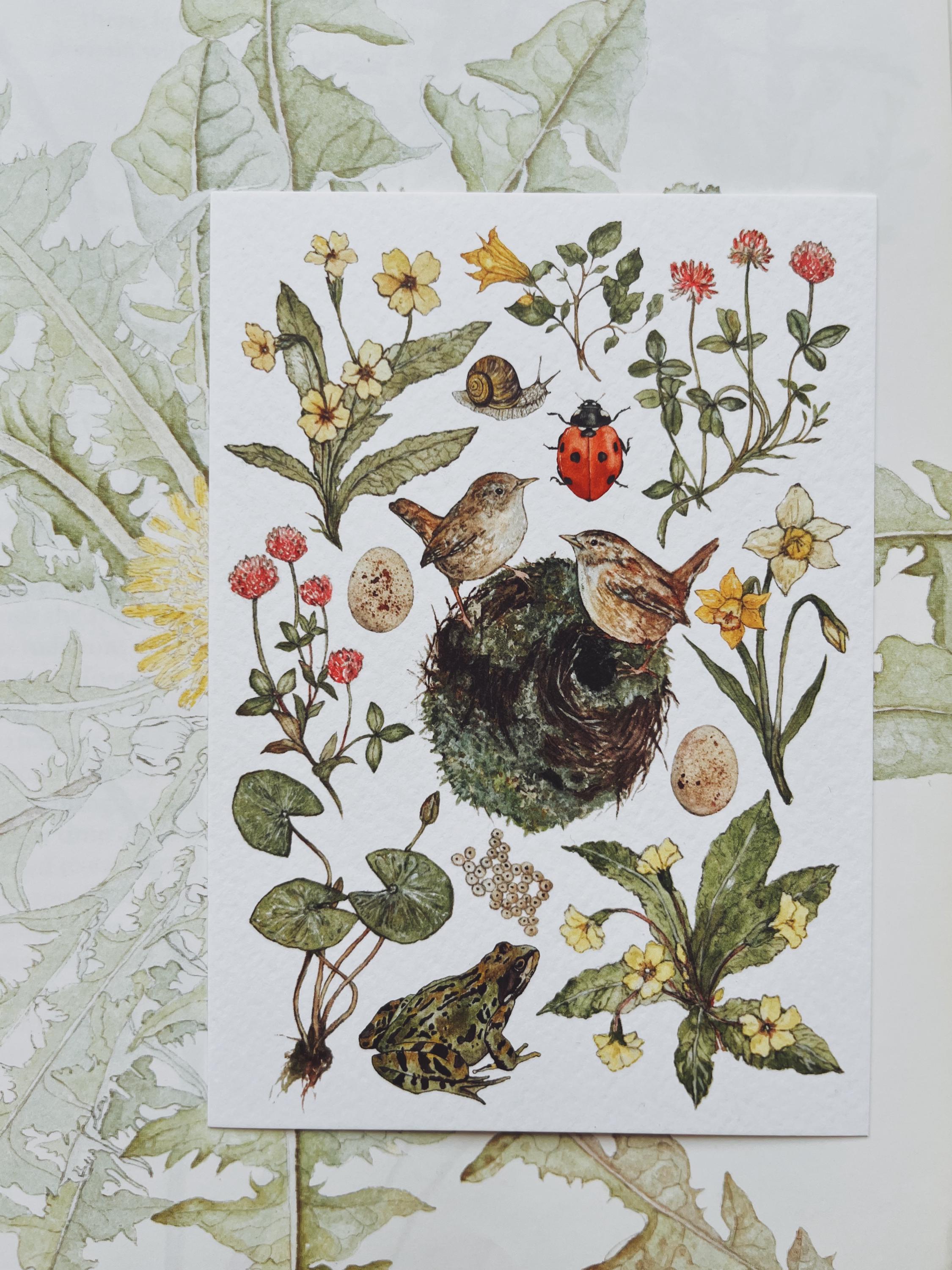 Springtime Postcards Set - Etsy
