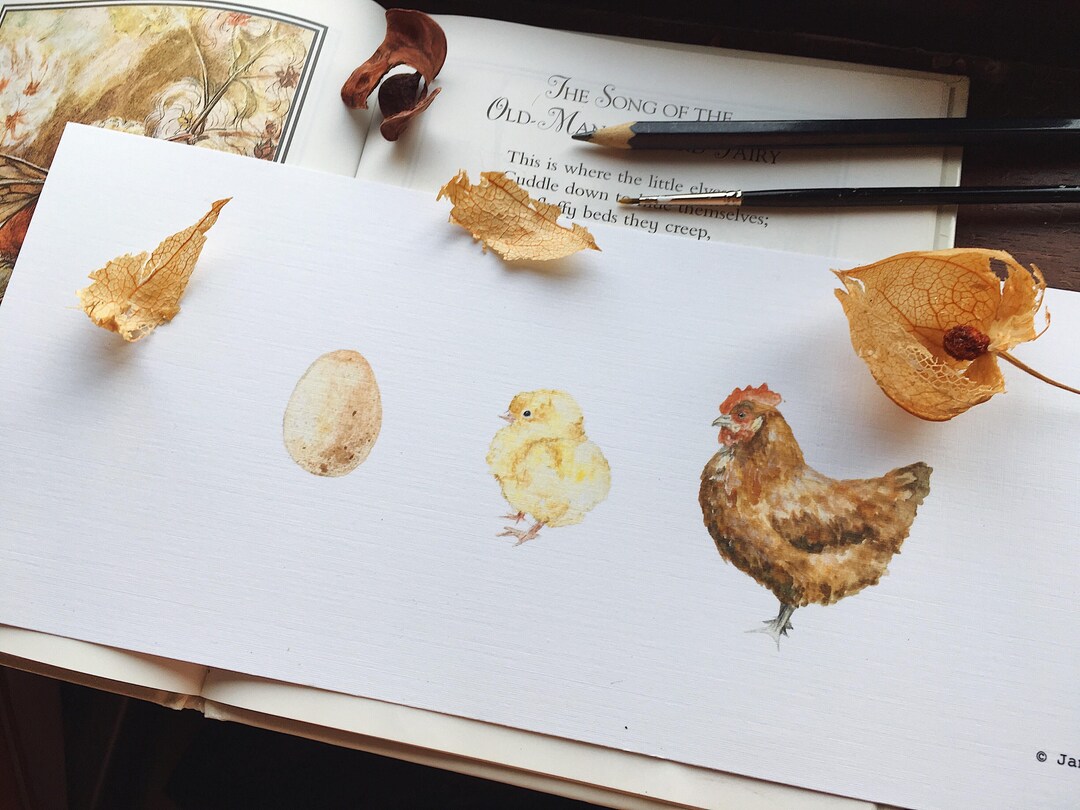 Hen Family Illustration Print - Etsy