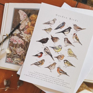 Hedgerow Magic A5 Greeting Cards - Etsy
