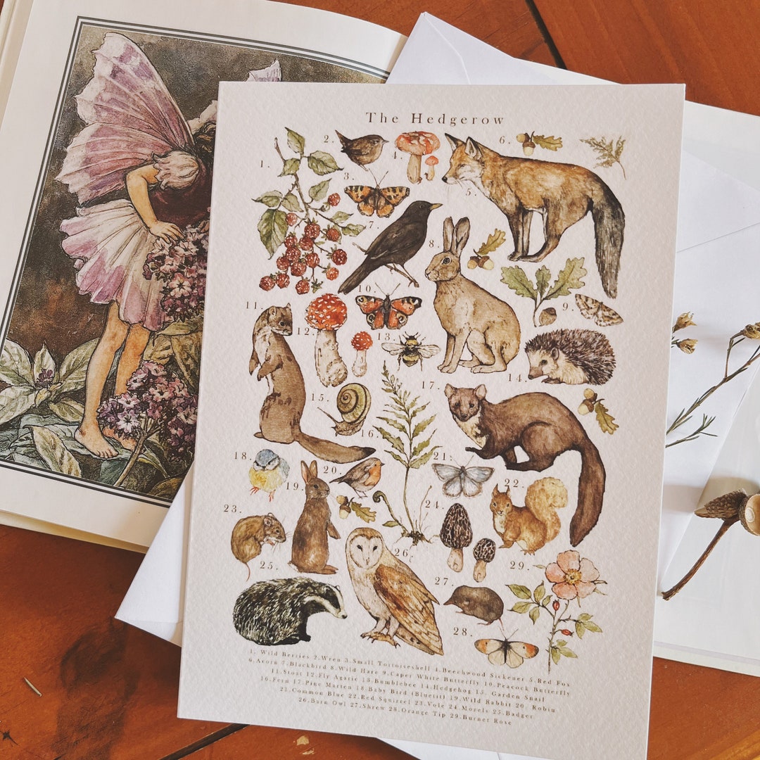 Hedgerow Magic A5 Greeting Cards - Etsy