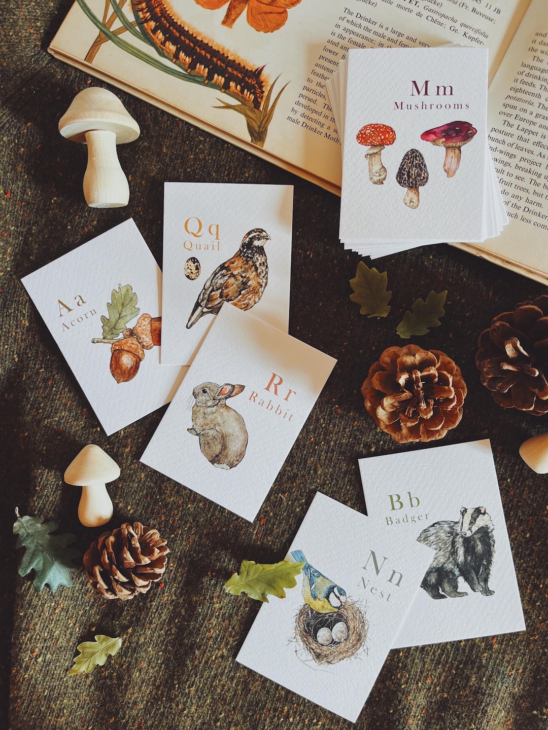 The Woodland Alphabet Flash Cards - Etsy