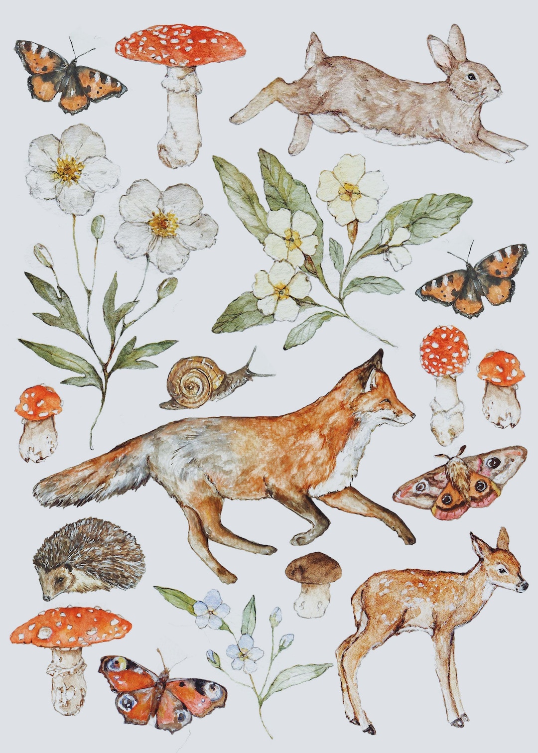 Woodland Animals A5 Illustration Print - Etsy