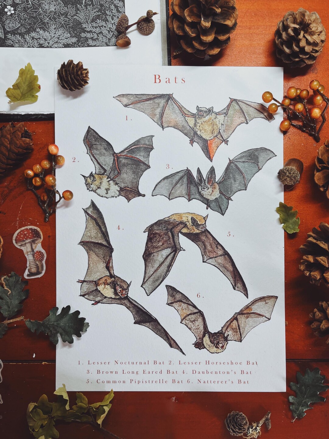 Bats Illustration Print - Etsy