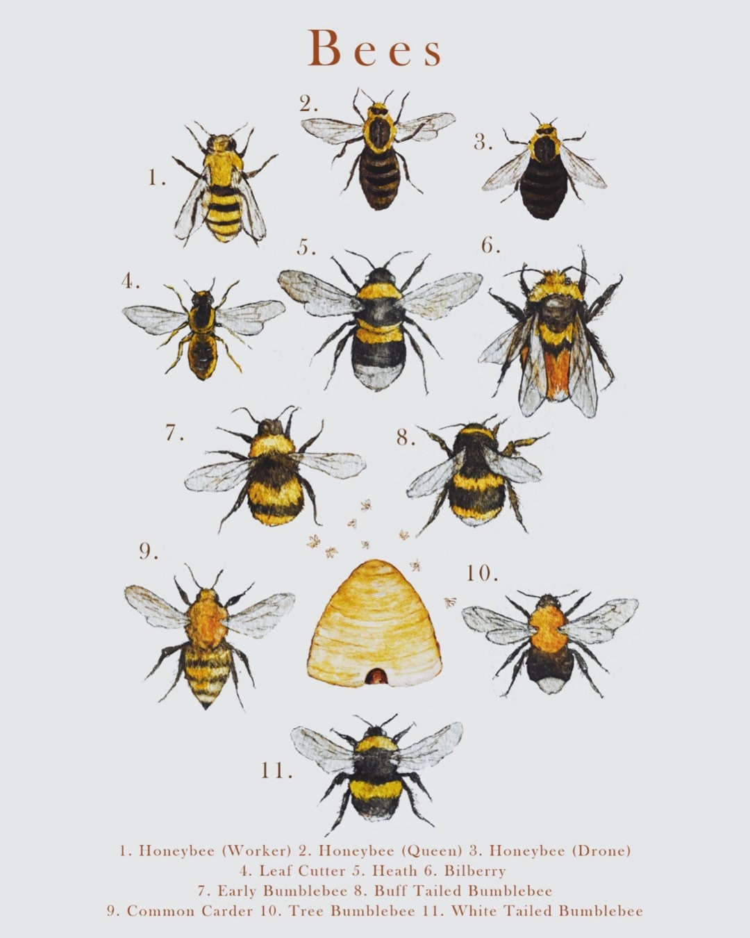 Bees A4 Illustration Print - Etsy