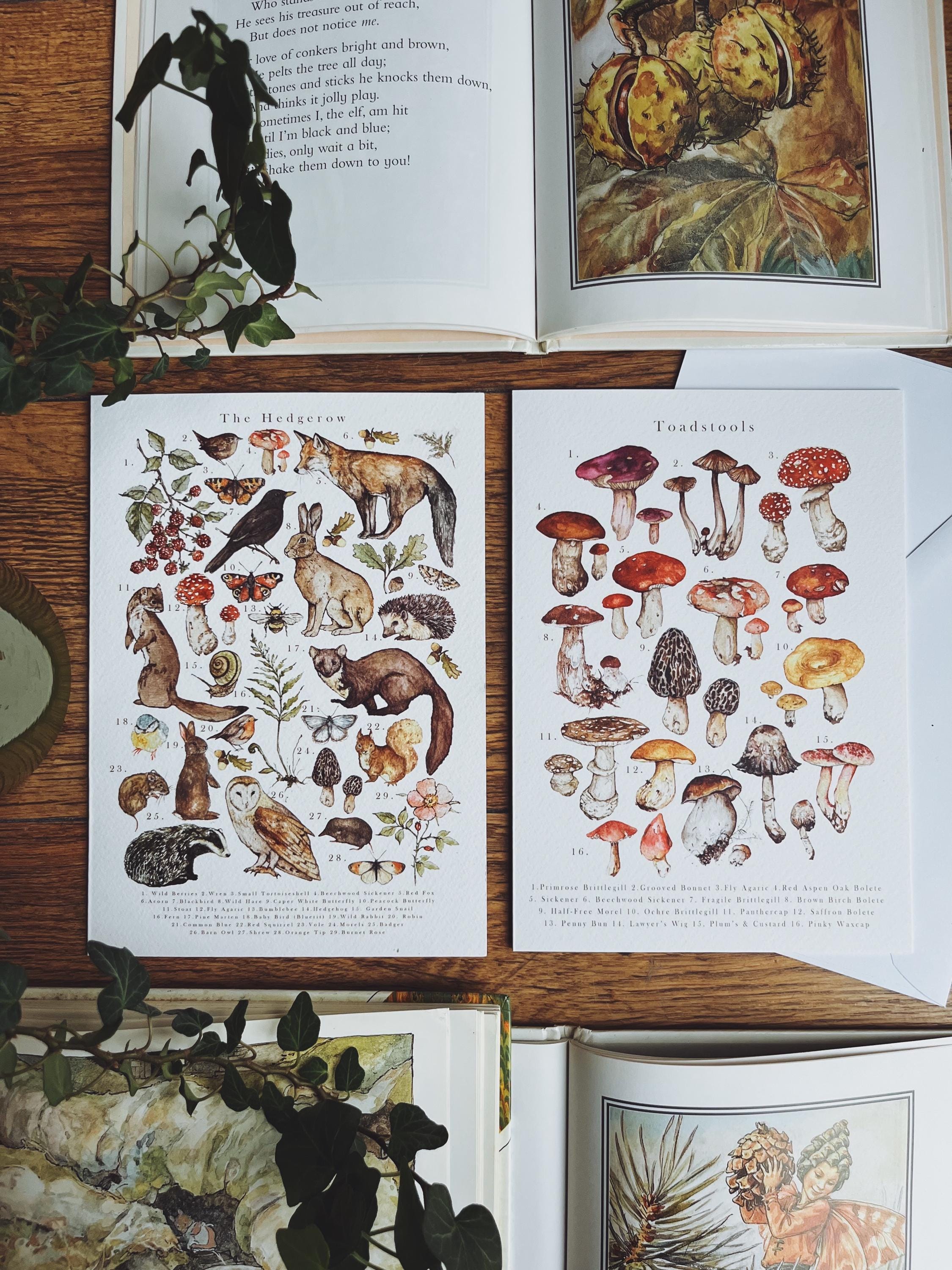 Large Greeting Cards - Etsy