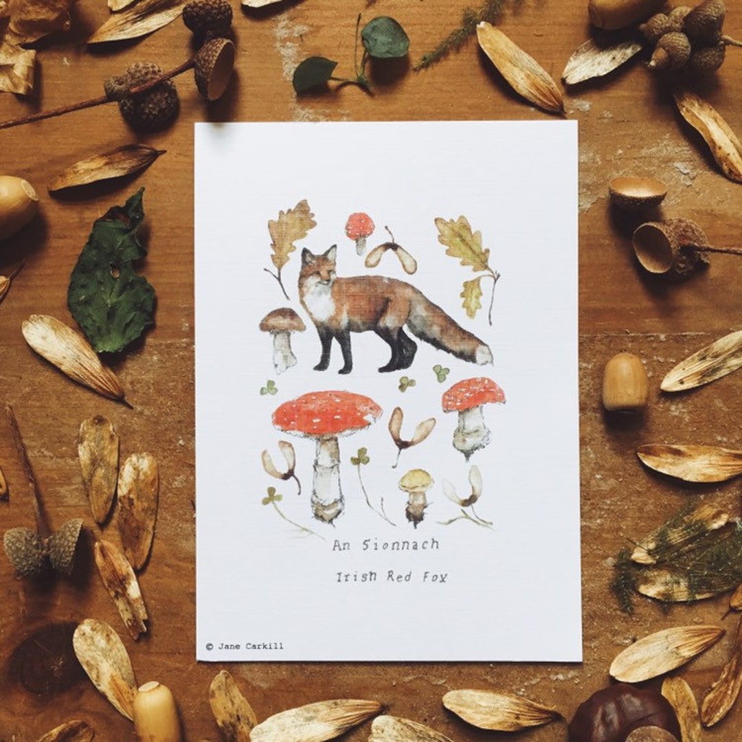 Woodland Series: Irish Red Fox A6 Illustration Print - Etsy