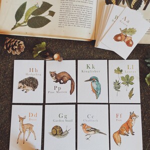 The Woodland Alphabet Flash Cards - Etsy