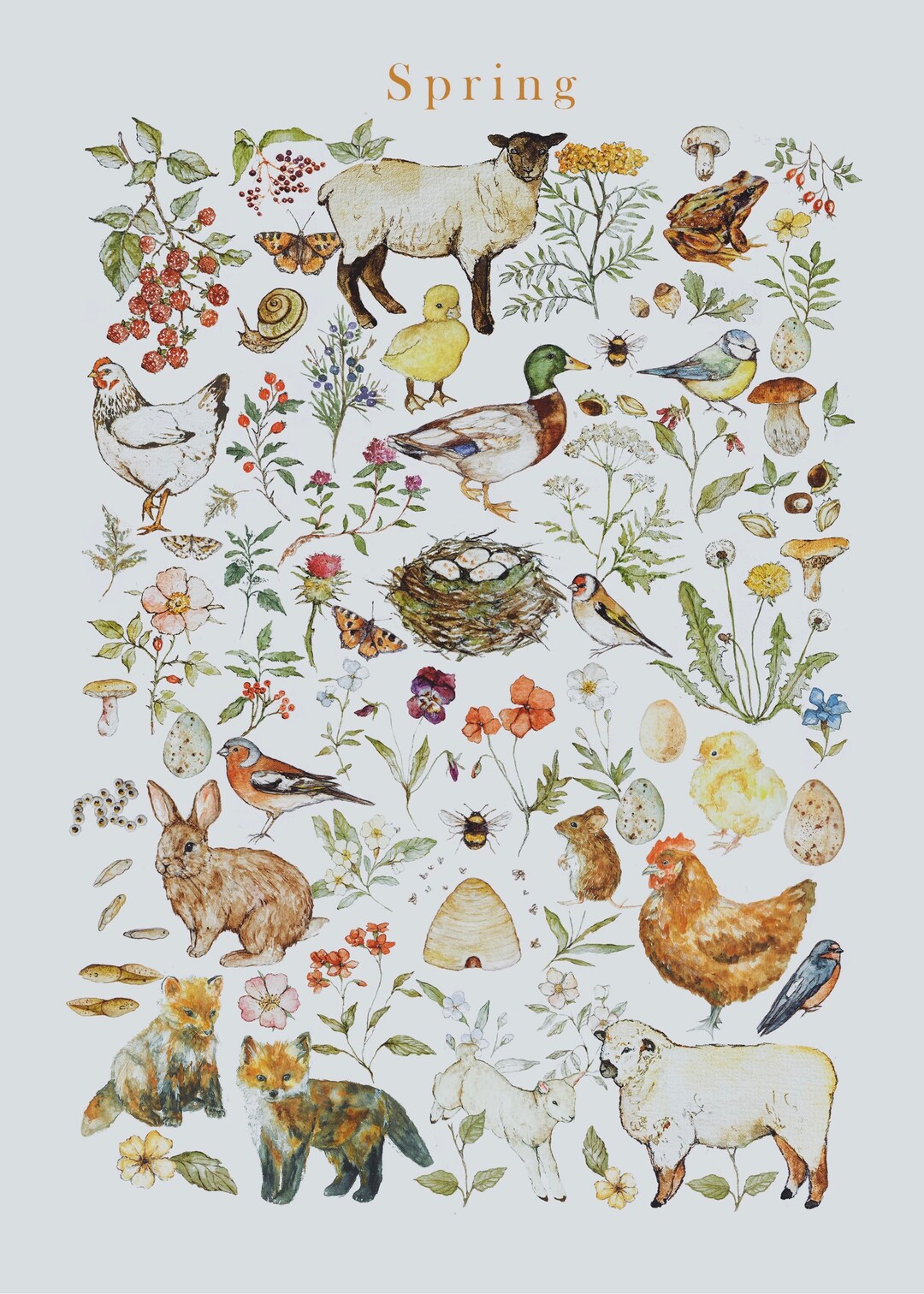 Spring Illustration Print - Etsy