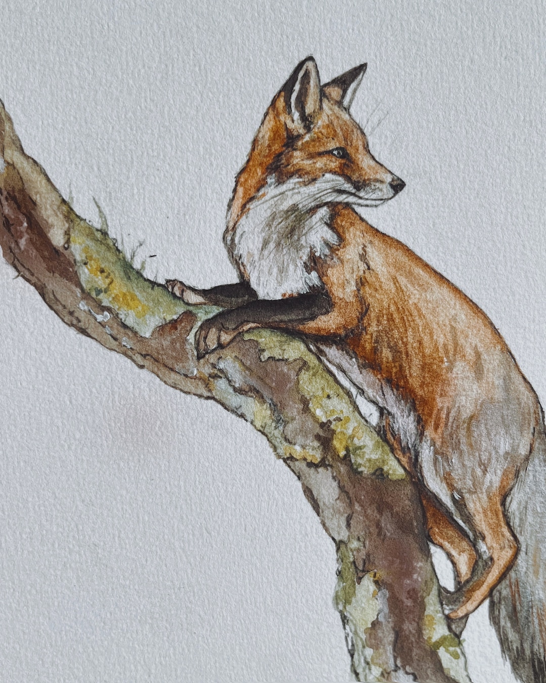 Climbing Fox A4 Illustration Print - Etsy