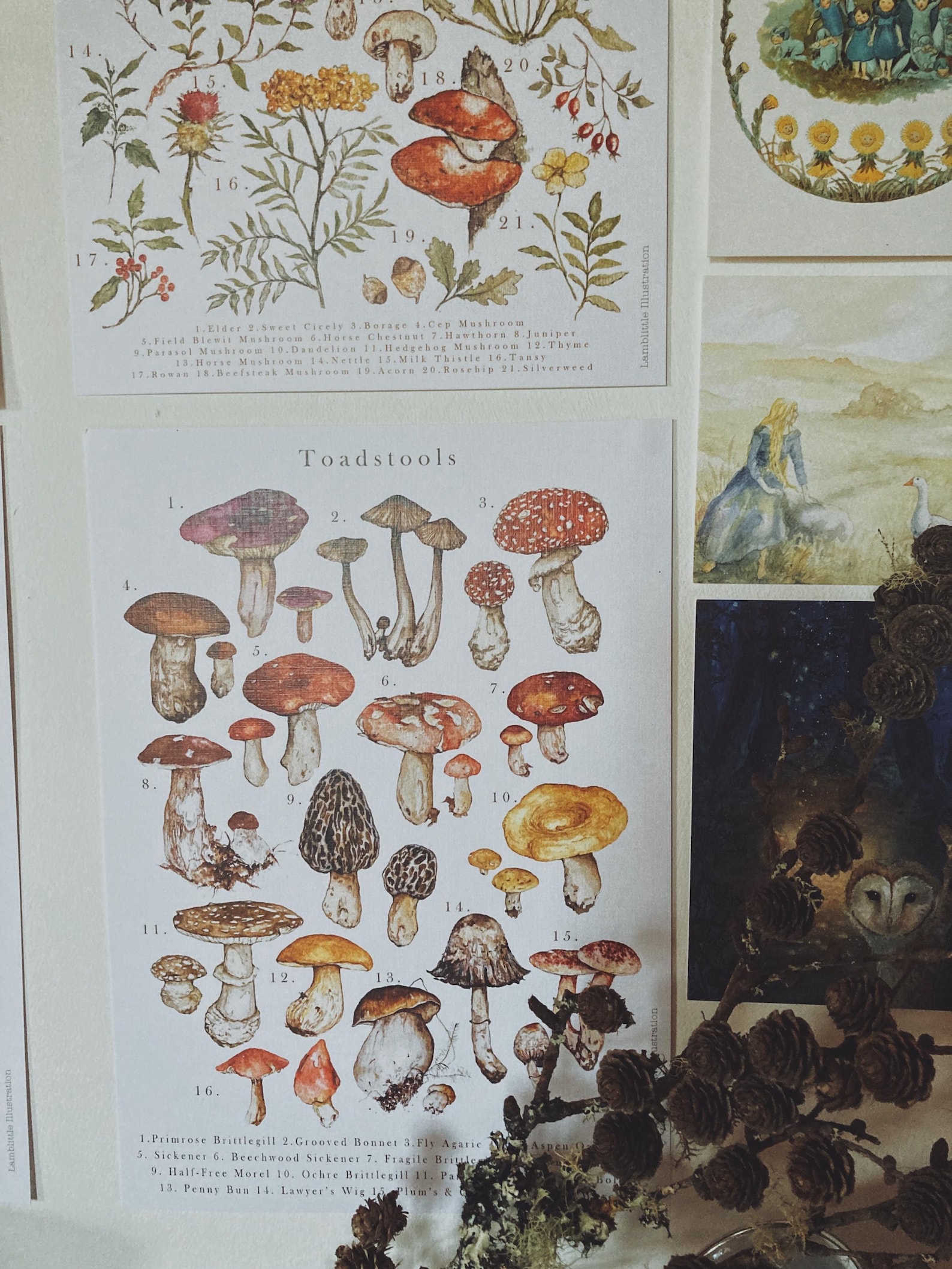 Hedgerow Magic Illustration Print Pack - Etsy
