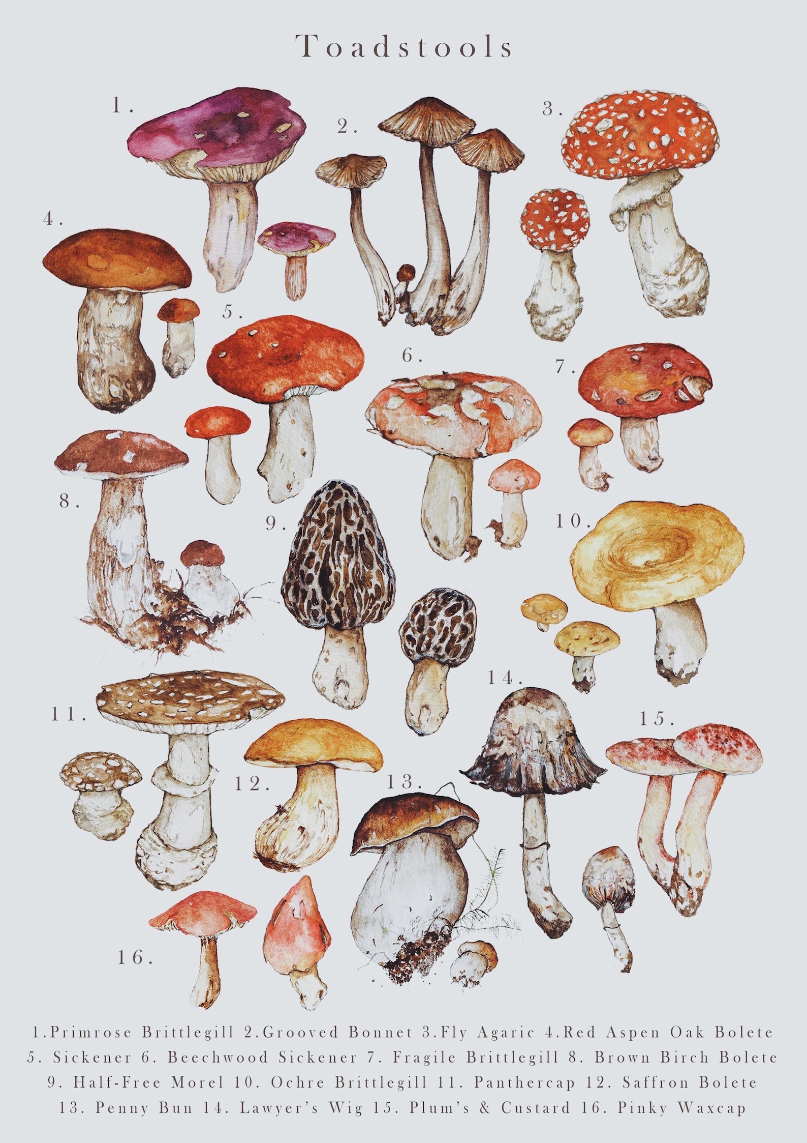 Hedgerow Magic Illustration Print Pack - Etsy