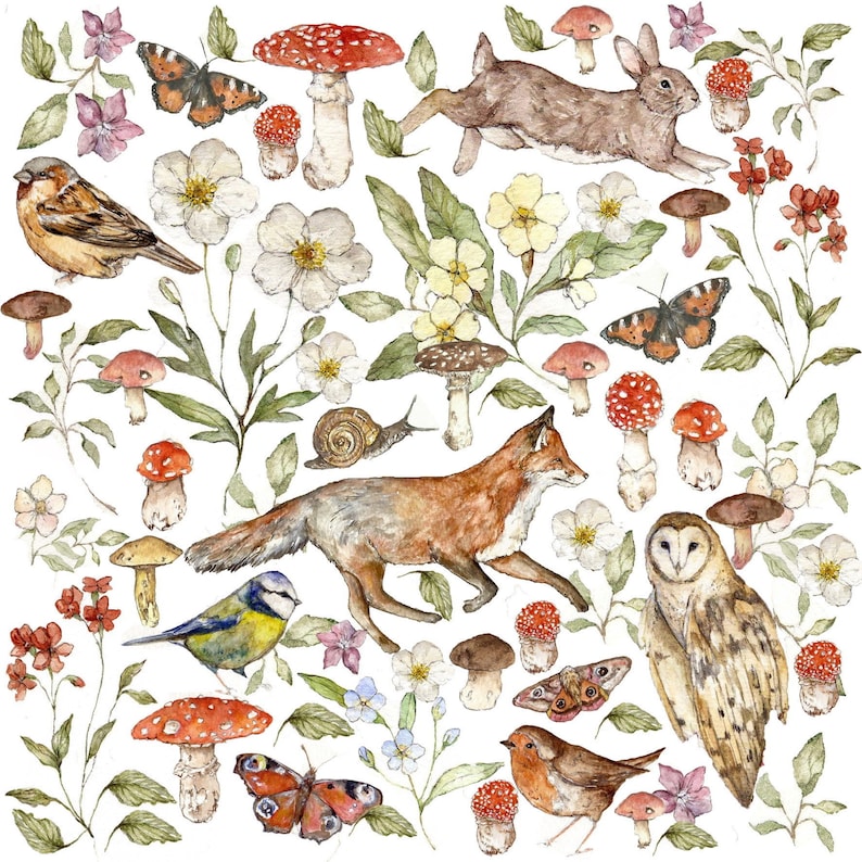 Hedgerow Fox A4 Illustration Print - Etsy