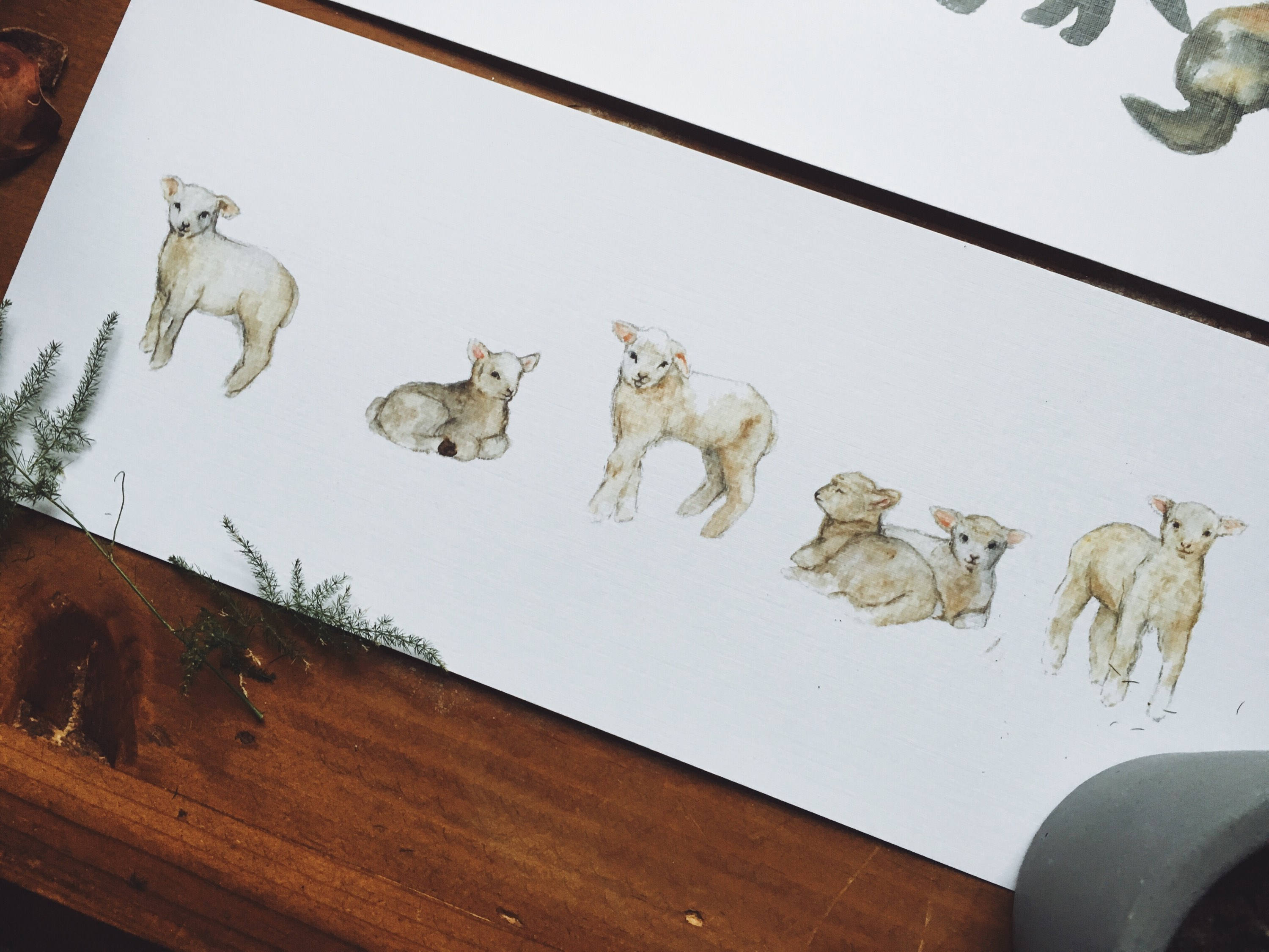 Spring Lambs Illustration Print - Etsy