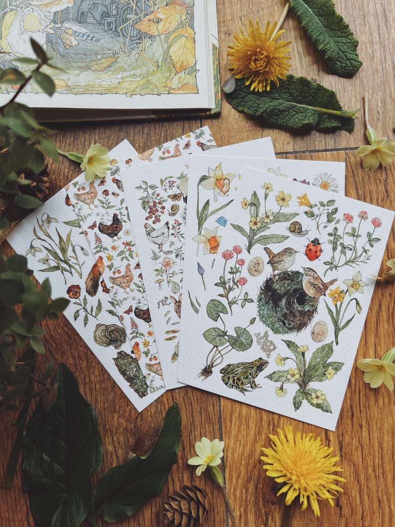 Springtime Postcards Set - Etsy
