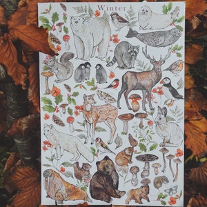 Winter A4 Illustration Print - Etsy