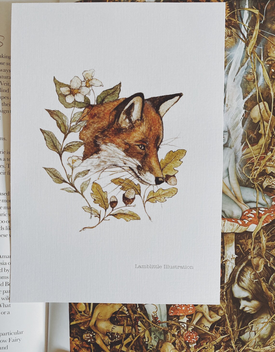 Fox & Acorns A5 Illustration Print | Etsy