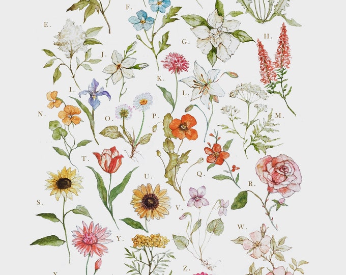 The Language of Flowers A4 Illustration Print - Etsy