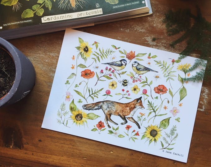 Fox & Bluebird A5 Illustration Print - Etsy