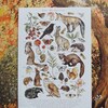 The Hedgerow Illustration Print - Etsy