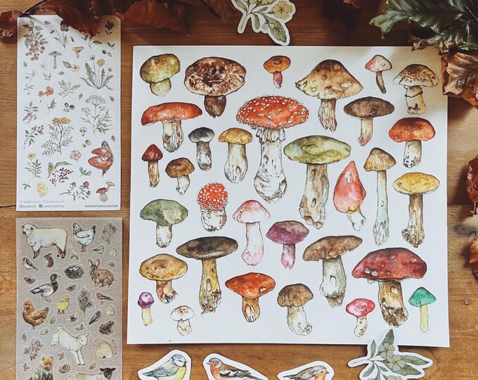 Flora, Fauna & Fungi Sticker Pack - Etsy