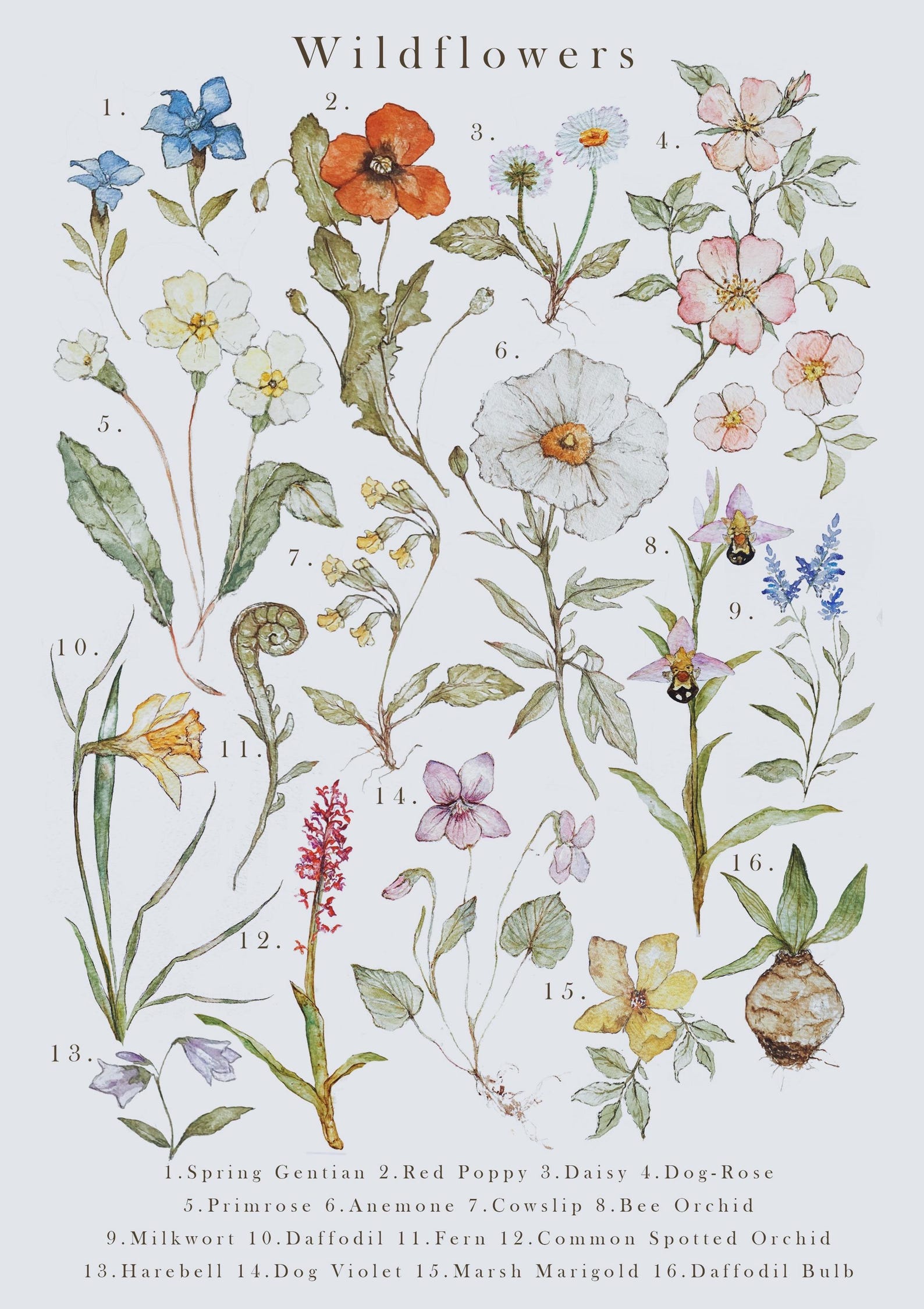 Hedgerow Magic Illustration Print Pack - Etsy