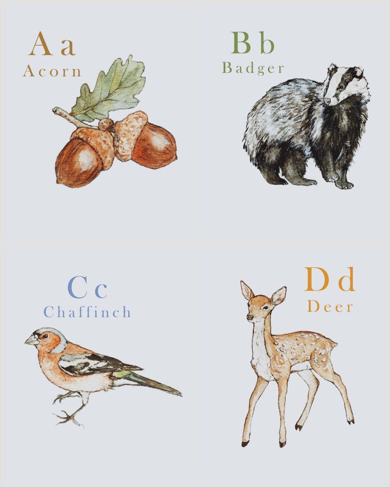 The Woodland Alphabet Illustration Print - Etsy