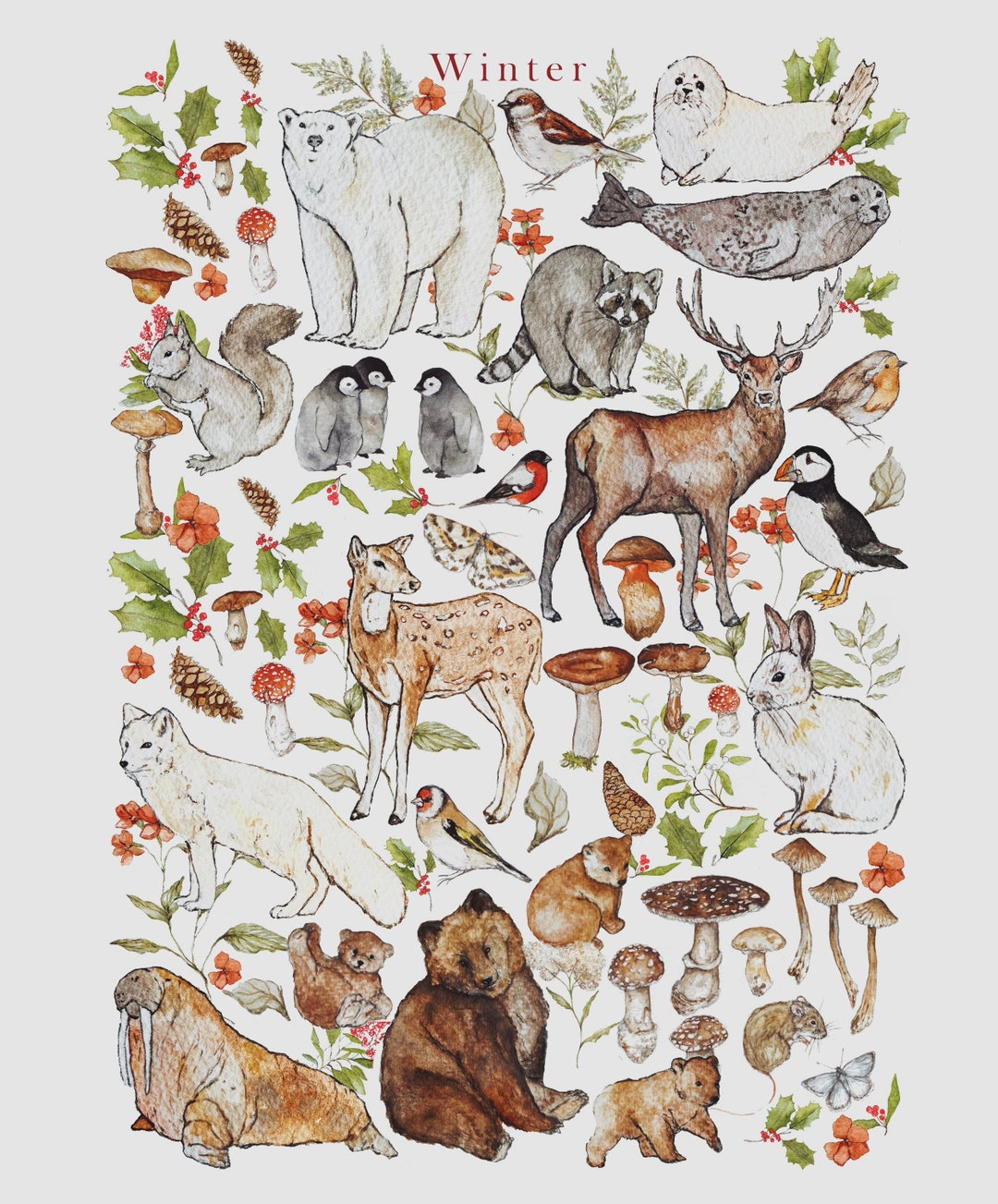 Winter A4 Illustration Print - Etsy