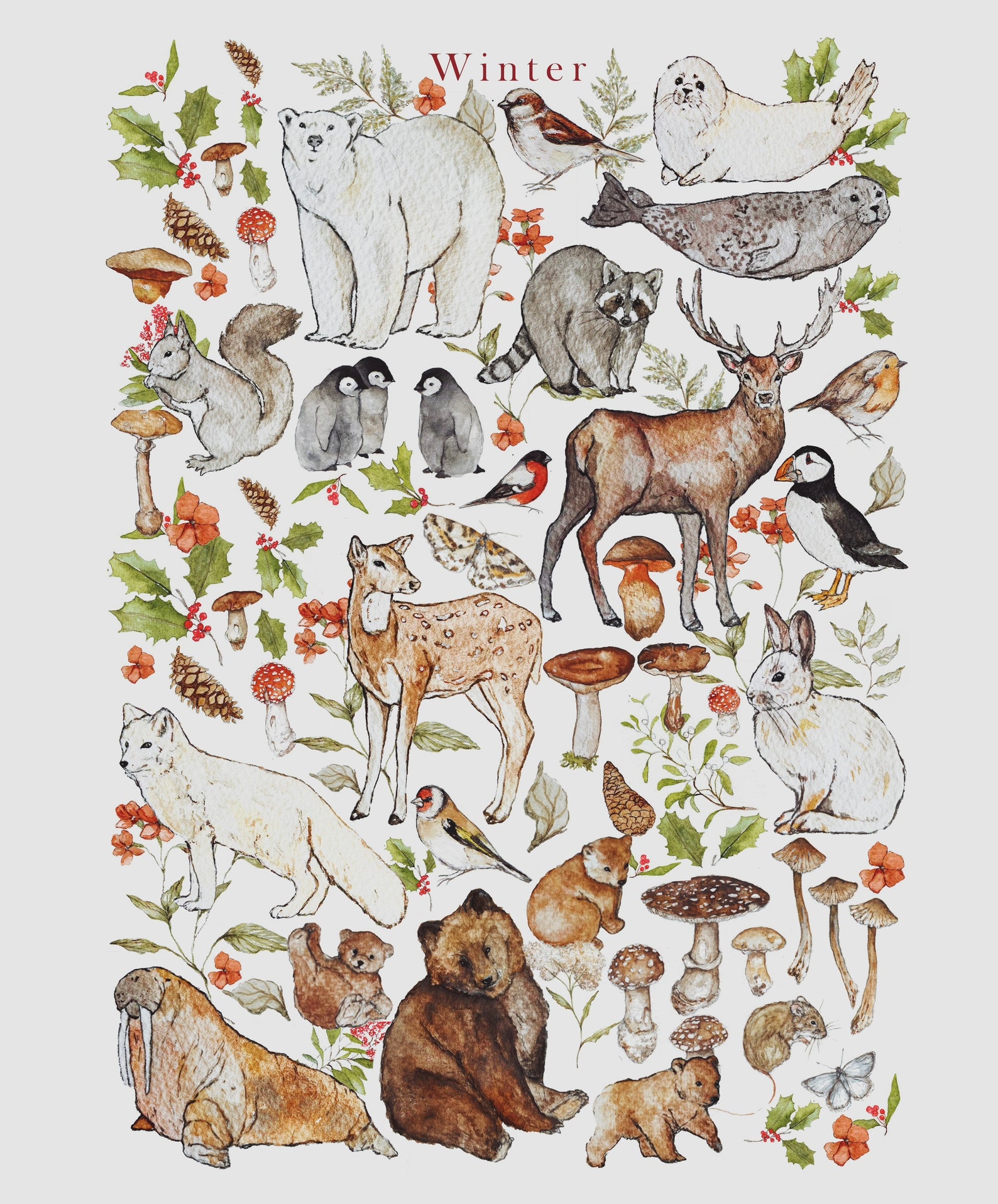 Winter A4 Illustration Print - Etsy