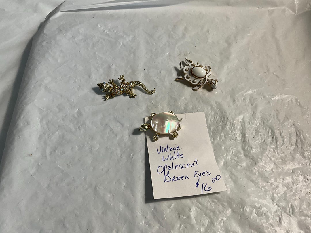 Costume Jewelry Accent Pins - Two Turtles and One Lizard - Bag 2152 - Etsy