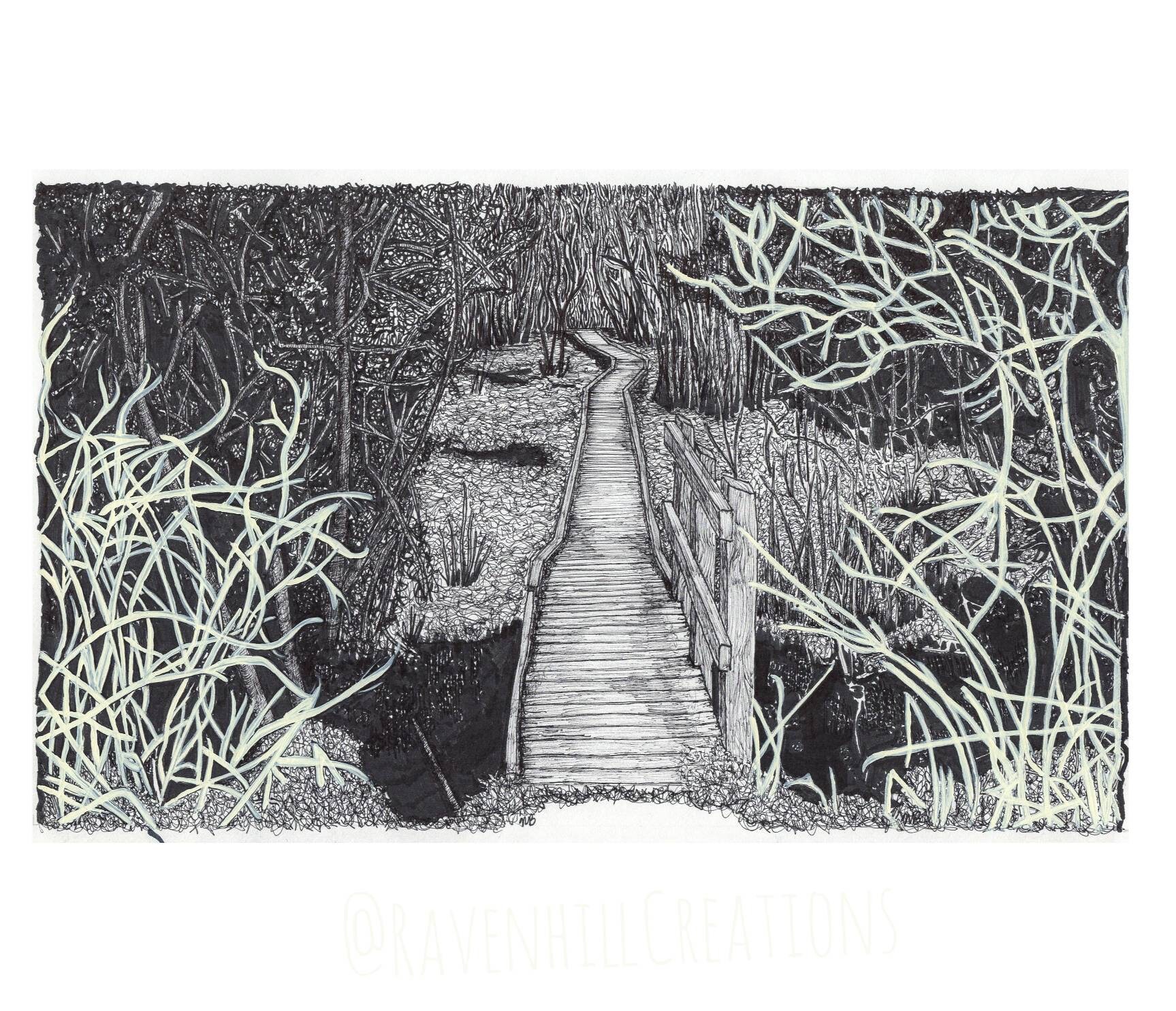 Forest Path Pen and Ink Illustration Art Print | Etsy