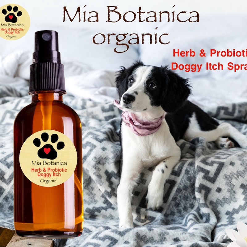 Dog Perfume - Etsy