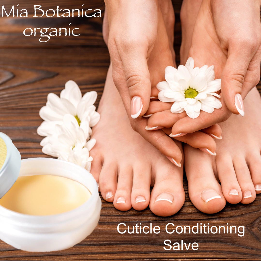 Cuticle Conditioning Salve: Natural Herbal Blend, Softens Dry Cuticles ...