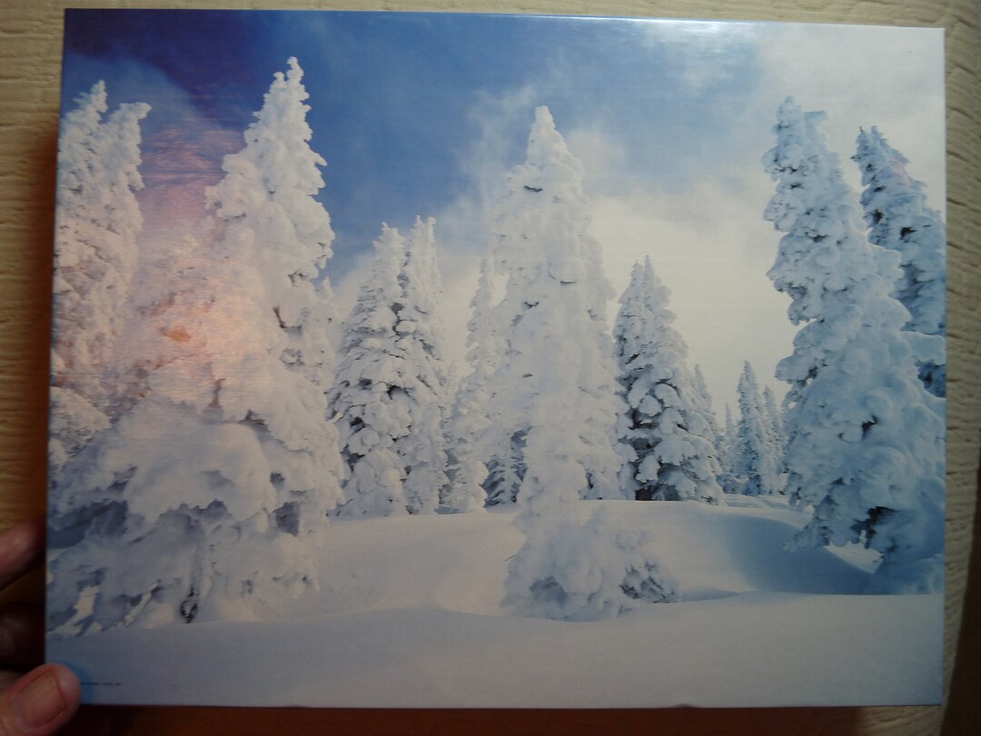 Springbok Puzzle "snowscape" 500 Pieces - Etsy