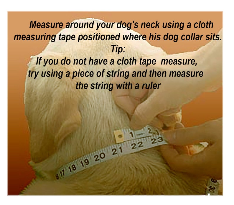 Jagged Ladder Knot Paracord Dog Collar | Etsy