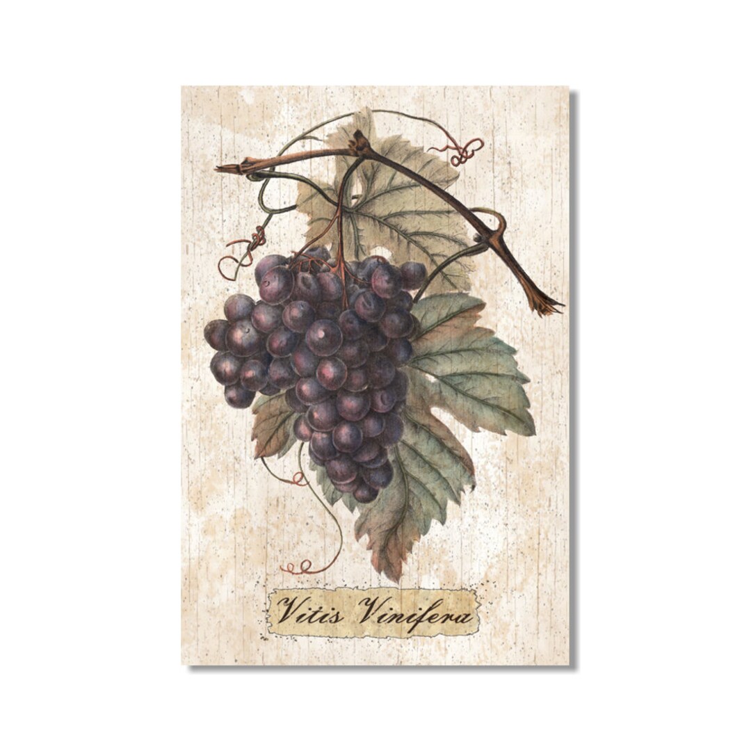 Rustic Purple Grapes Sign - Etsy