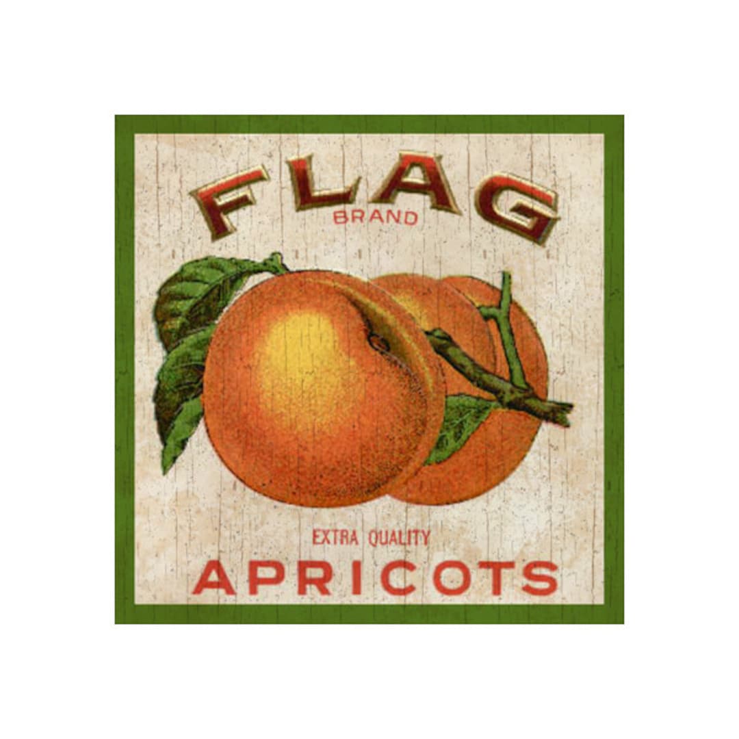 Apricot Sign- Vintage Kitchen Sign- Fruit Sign - Etsy