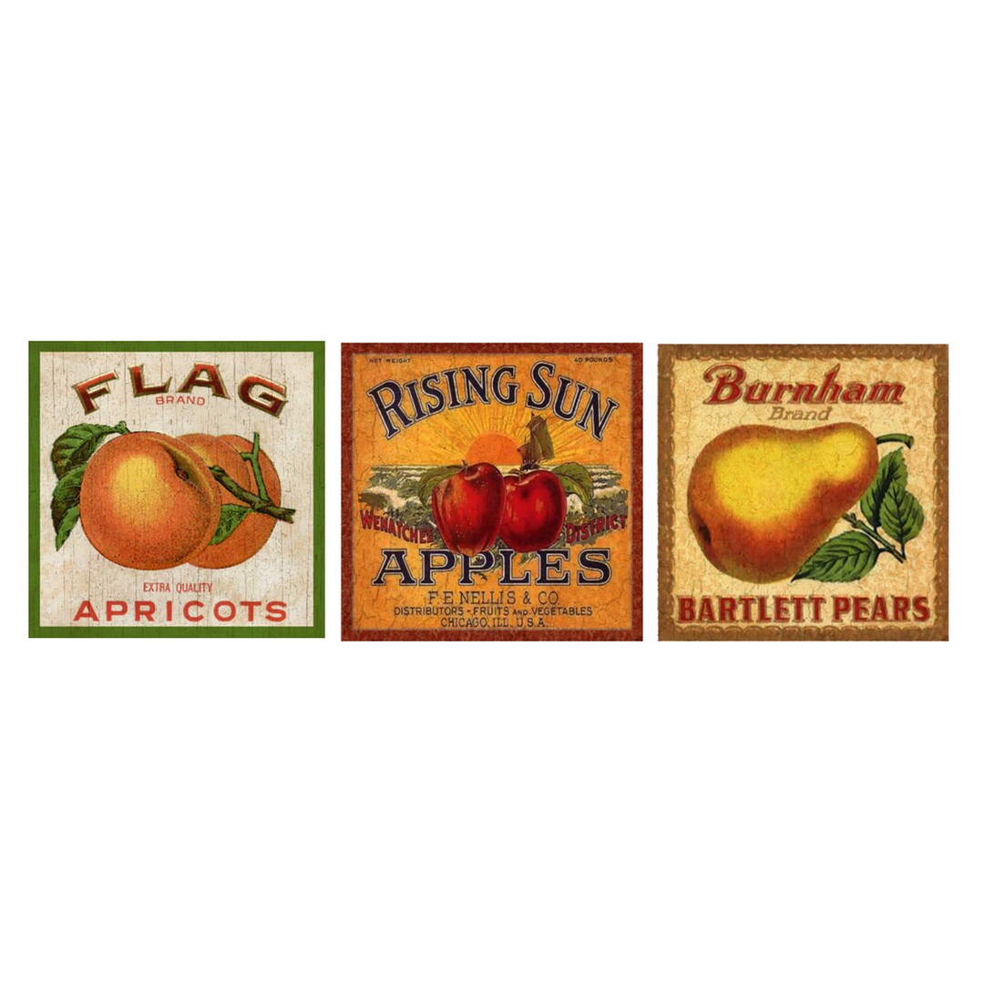 Colorful Fruit Signs - Perfect Kitchen Décor Set - Etsy