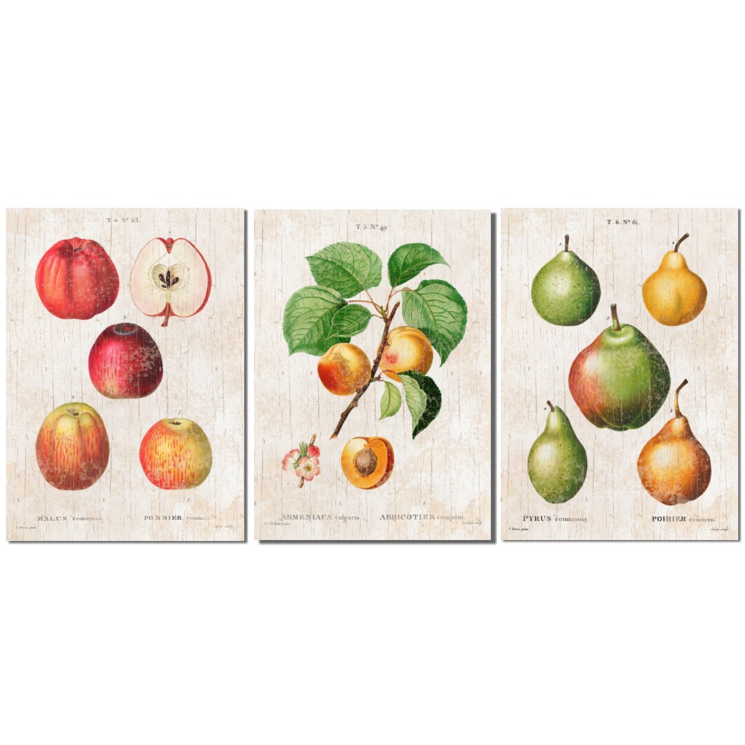 Handcrafted Fruit Sign Set | Perfect for Country Kitchens - Etsy