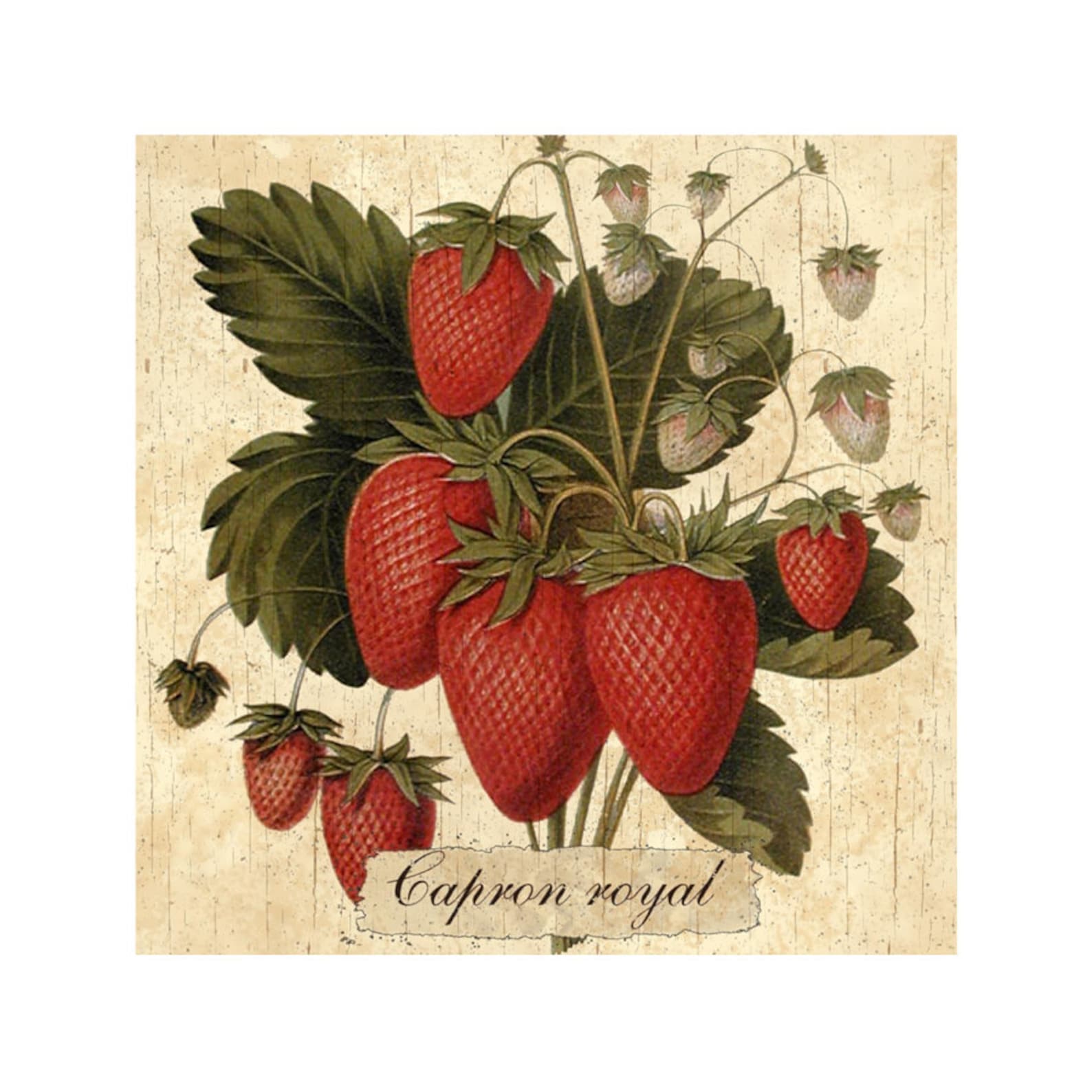 Strawberry Sign Kitchen Sign Farmhouse Sign - Etsy