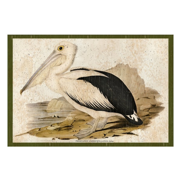 Pelican Beach Sign - Etsy