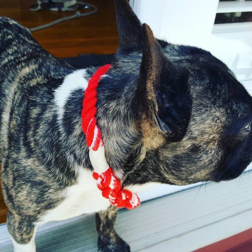 Cocoa Brown Ombré Rope Dog Collar - Etsy