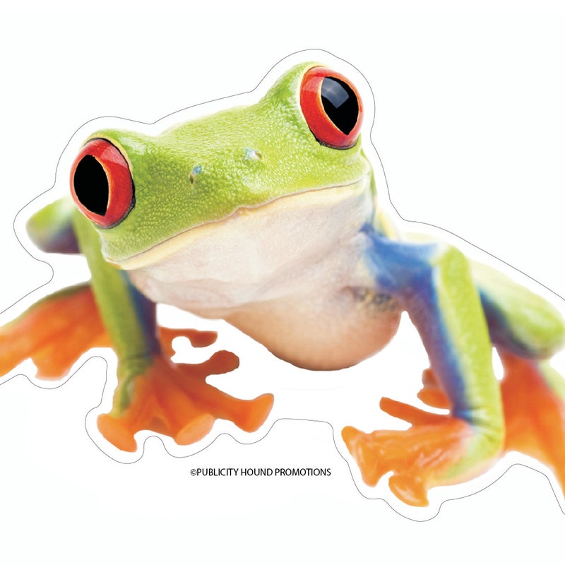 Tree Frog Decal - Etsy