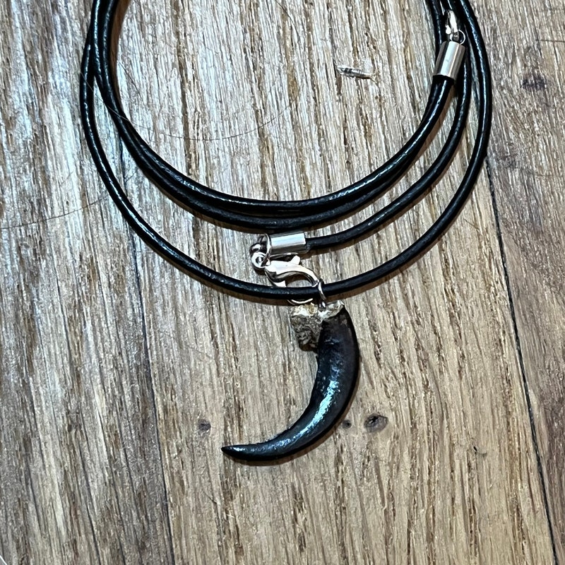 Talon of the Hawk - Etsy