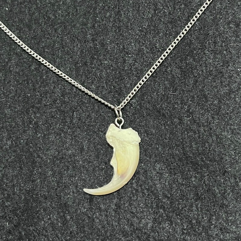 Wolverine Claws - Etsy