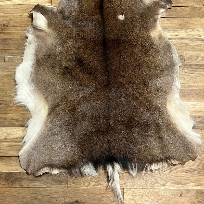 Deer Hide - Etsy