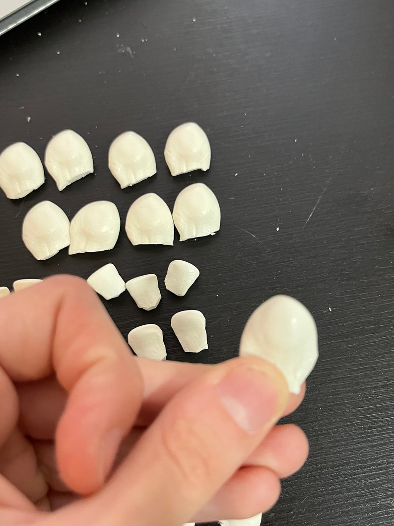 Elk Tusks Resin Replicas Set of 30 - Etsy