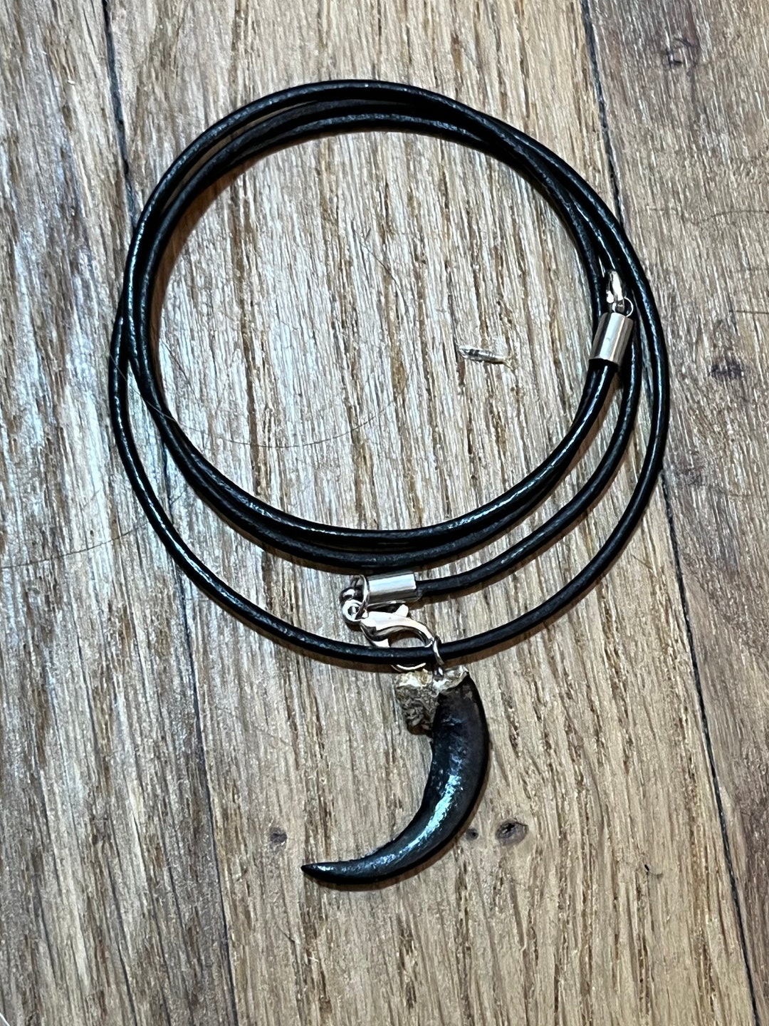 Realistic Hawk Claws (painted Porcupine) on 23” Leather Cord - Etsy