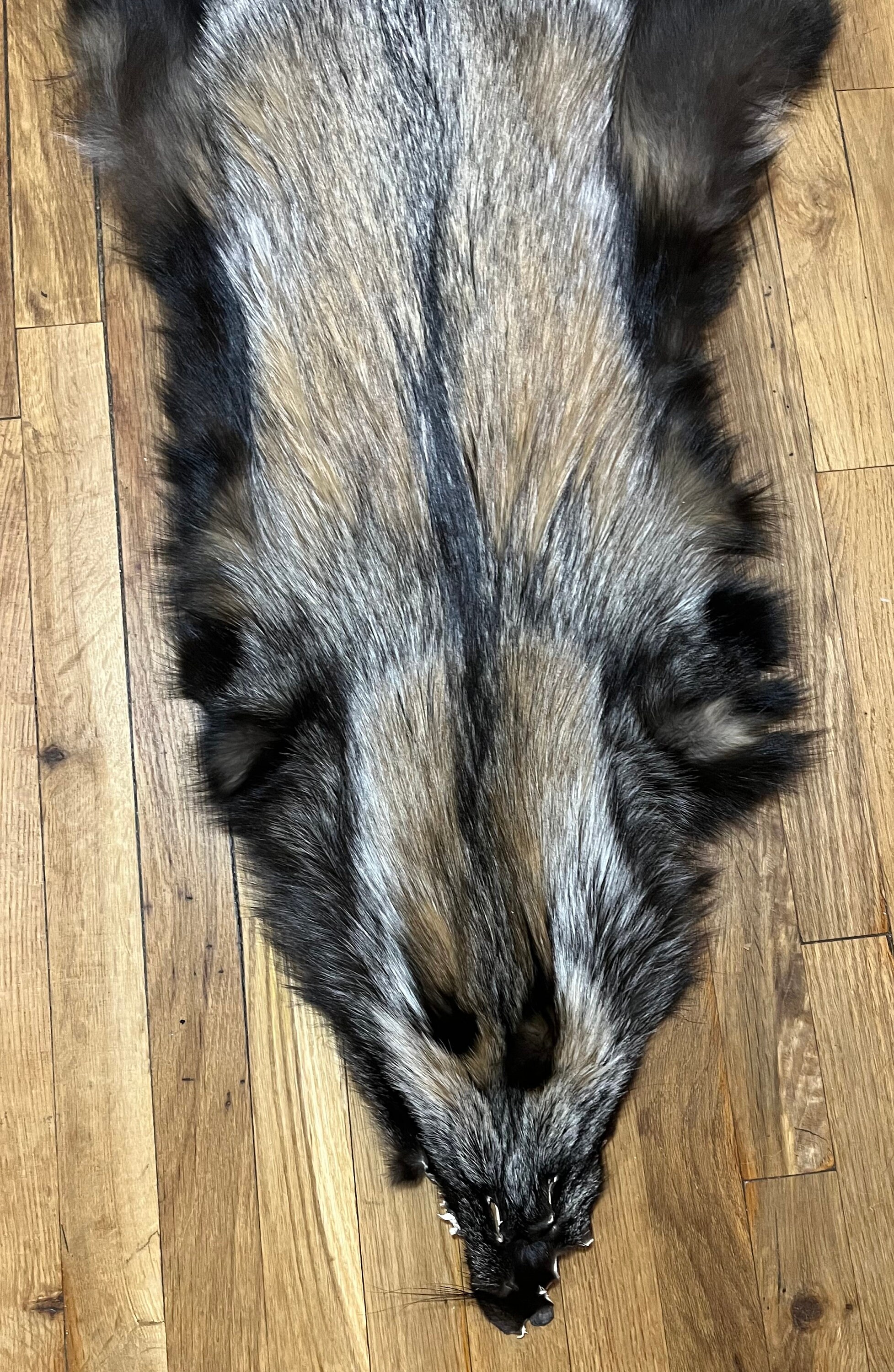 Ranch Silver Cross Fox Pelt Cool Mutation Colors - Etsy