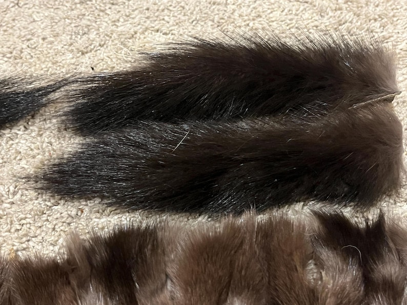 Mahogany Sable Fur Faces and TAILS High Quality Possibly for Shtreimel ...